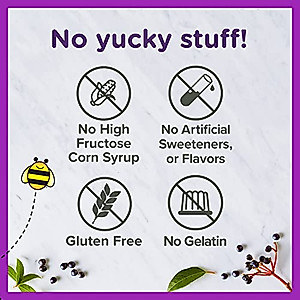 Zarbee's Elderberry Gummies for Kids with Vitamin C, Zinc & Elderberry, Daily Childrens Immune Support Vitamins Gummy for Ages 2 and Up, Natural Berry Flavor, 21 Count