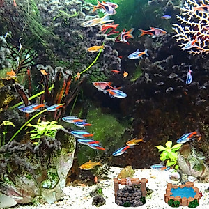 Cabilock 8pcs Micro Landscape Bridge Pond Fairy Garden Decor Scenery Adornment Resin Art Crafts Fairy Garden Accessories Fairy Garden Crafts Resin Ornaments Miniature Landscape Ornament