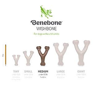 Benebone Indestructible Wishbone Dog Chew Toy for Aggressive Chewers, Long Lasting Tough Boredom Breaker for Dogs, Real Peanut Flavour, For Medium Dogs, Made in the USA.
