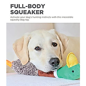 Charming Pet Headbangerz Duck Plush Squeaky Light-Up Dog Toy