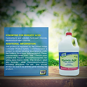 Klean Strip Green Muriatic Acid-Eco friendly Brightens Masonry Etch Concrete Removes Excess Mortar from Bricks and Cleans Algae and Scum-1 Gallon Plus Centaurus AZ Chemical Resistant Gloves