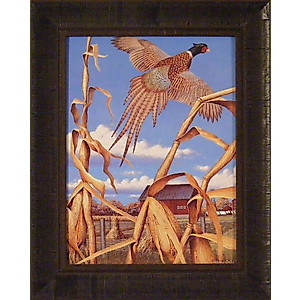 Home Cabin Décor Indian Summer Pheasant by Harry Antis 17x21 Red Barn Farm Corn Stalks Bird Framed Art Print Picture