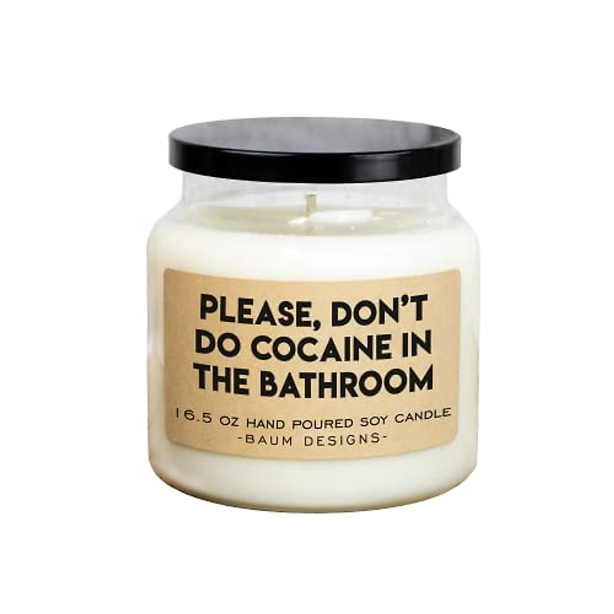 Please Don't Do Cocaine in The Bathroom 16.5oz Soy Candle (Frosted Gingerbread)