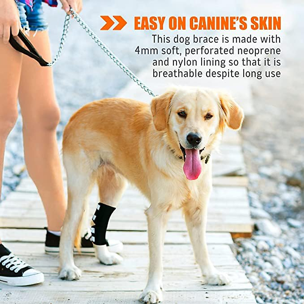 NeoAlly Dog Rear Leg (One Leg) Hock Brace, Canine Leg Wrap for Hind Leg, Ideal Hock & Ankle Support and Protection for Sprain Recovery, Achilles Tendon Injury (Extra Large (Left Leg))