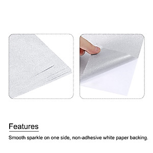 MECCANIXITY Glitter Cardstock Paper 7.8 Inch x 11.8 Inch, 5 Sheets Sparkly Paper Craft Cardstock for Thanksgiving Gift Box Wrapping Birthday Decor Scrapbook, Silver Tone, 80gsm