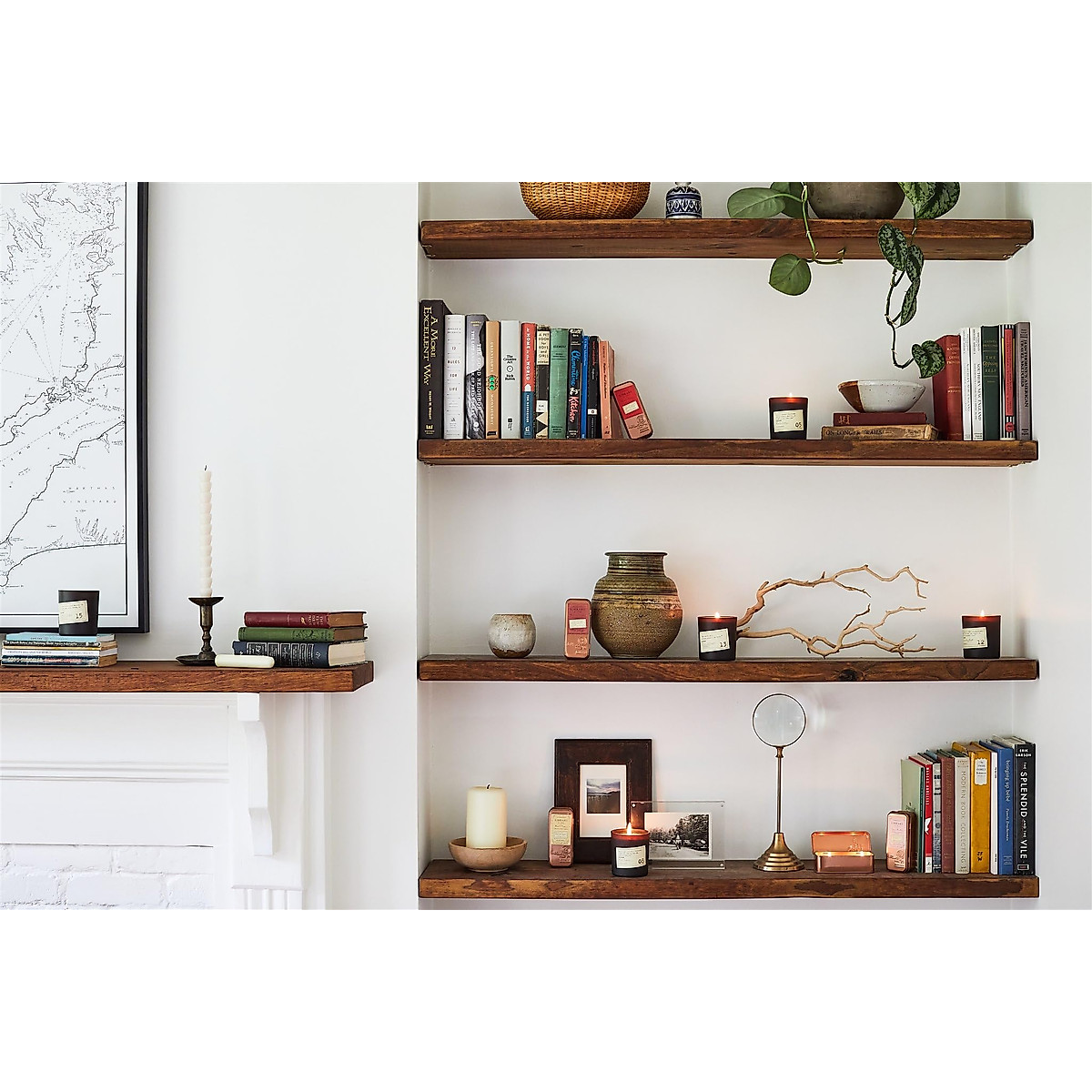 Paddywax Scented Candles Library Charles Dickens Luxury Artisan Candle, 6.5-Ounce, Tangerine, Juniper & Clove