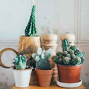 Sderoq 3 Inch Terracotta Pots - 22Pack Clay Flower Pots with Drainage Hole, Succulent Nursery Pot/Cactus Plant Pot. Great for Plants, Crafts, Wedding Favorn, DIY Production