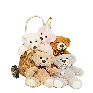 Quaakssi Teddy Bears Bulk 5 Packs Teddy Bear Stuffed Animal Plush Toys 5 Colors Gift for Kid Girlfriend,13.5 Inches Stuffed Bears for Christmas Valentine’s Day Birthday Wedding Party