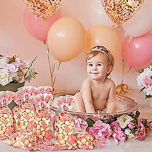 Pajean 100 Pcs Groovy Retro Hippie Boho Party Favors Bags Two Plastic Goody Treat 60's 70's Cellophane for Daisy Flower Birthday Baby Shower Wedding, Silver