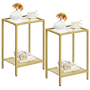 MAHANCRIS End Tables Set of 2, Side Table with Tempered Glass Top, Narrow Beside Table for Small Space, 2-Tier Nightstand with Storage Shelf, for Sofa Couch and Bed, Easy Assembly, Gold ETJ24B01S2Z1