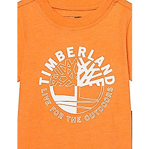 Timberland baby boys 2 Pieces Tee Shorts Set, Scarlet Ibis, 18M US