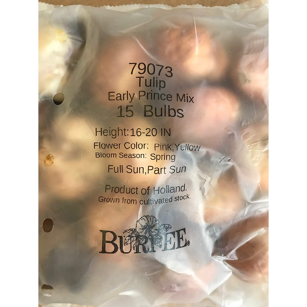 Burpee Perennial Tulip Mix | 20 Large Flowering Fall Bulbs for Planting, Multiple Colors