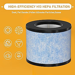 Allisfresh C102 MA-01CW True HEPA Replacement Filter Compatible with Miko Ibuki C102 Air Cleaner Purifier and Okaysou AirMic4S, True HEPA Filter Set, 2 Pack