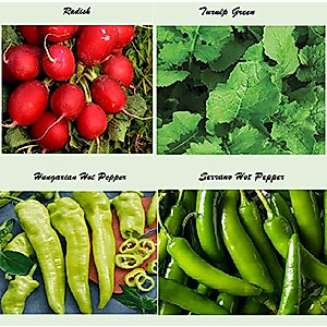 Set of 20 Assorted Organic Vegetable Seeds & Herb Seeds for Planting 20 Varieties Create a Deluxe Garden All Seeds are Heirloom, 100% Non-GMO Lettuce Seeds, Sweet & Hot Pepper Seeds, Green Onion Seeds