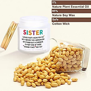 Sisters Birthday Candles Gifts for Women, Friends Candle for Soul Sister, Lavender Scented Candle, I Would Fight A Bear for You Sister Candles Present for Sister Best Friend