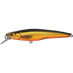 LiveTarget Rainbow Smelt Jerkbait Gold/Orange 2 3/4"