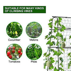 FOLLOOK Cucumber Trellis for Garden, 5ft Tall Metal Pea Tunnel Garden Arch Trellis for Climbing Plants Outdoor, A-Frame Trellis Support Vegetables Squash Cucumber Trellis for Raised Bed, Lightweight