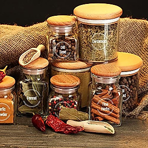 144 Pcs Transparent Spice Labels, Numbers for Jar Organization, Food Labels Waterproof Kitchen Seasoning Names Label, Preprinted White Letters Pantry Stickers (Transparent)