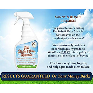 Pet Stain & Odor Miracle - Enzyme Cleaner for Dog Urine Cat Pee Feces Vomit, Enzymatic Solution Cleans Carpet Rug Car Upholstery Couch Mattress Furniture, Natural Eliminator (S/M 32FL OZ)