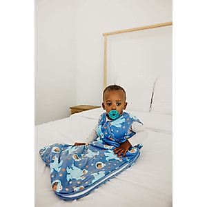 Copper Pearl Sleep Sack: Warm and Cozy Baby Bag in a Variety of Trendy Designs, Safe Alternative to Blankets, Sleeveless Baby Sleep Sack Swaddle Sizes Newborn to 24 Months - Cookie Monster