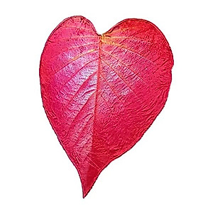 Dyto Leaf Blanket Green Plant Throw Blankets Wrapping Towel Realistic Decorative Floral Blankets for Sofa Bed Beach Towel let Throw