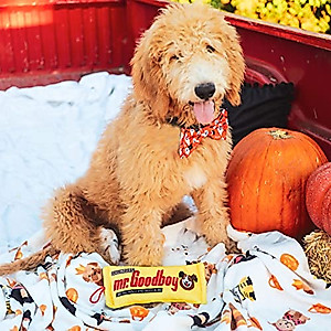 H&K for Dogs Power Plush | Mr. Goodboy (Large) | Funny Dog Toy | Dog Toy with Squeaker | Dog Gift | Fun, Durable, and Safe | Squeaky Dog Toy