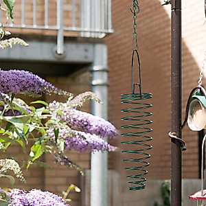 Squirrel Feeder Corn Cob Holder Squirrel Feeder with 35 Inches Extension Chain for Squirrel Bird and Other Backyard Feeding Supplies (1 Pcs)