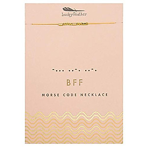 Lucky Feather Morse Code Secret Message Necklace - BFF
