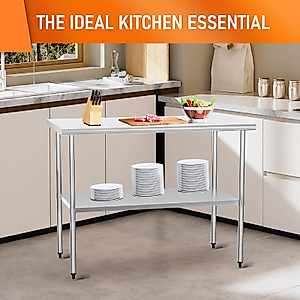 HOCCOT Stainless Steel Table for Prep & Work 24" X 48" inches with Adjustable Shelf, Commercial Workstations, Utility Table in Kitchen Garage Laundry Room Outdoor BBQ