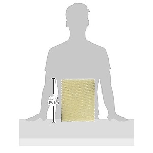 AprilAire 45 Water Panel Humidifier Filter Replacement for AprilAire Whole-House Humidifier Models 400, 400A, 400M (Pack of 2)