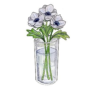 Watercolour Lessons: How to Paint and Unwind in 20 Tutorials (How to paint with watercolours for beginners)