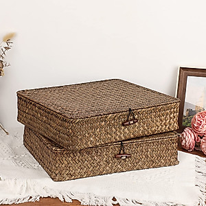 Hipiwe Woven Wicker Basket Bins with Lid - Set of 2 FLat Seagrass Storage Baskets Boxes Rectangular Shelf Baskets Home Organizer Bin for Shelf Organizing (Large Size, Coffee)
