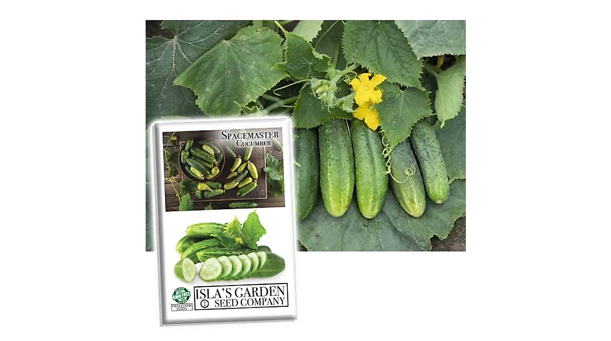 Grow Spacemaster Cucumber Seeds - High Yield Non-GMO Heirloom Seeds