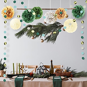 MEIYKO 15PCS Sage Green Tissue Paper Pom Poms with Paper Garland String Hanging Backdrop for Jungle Safari Woodland Baby Shower, Bridal Shower, Wedding Shower, Engagement, Birthday Party Decorations