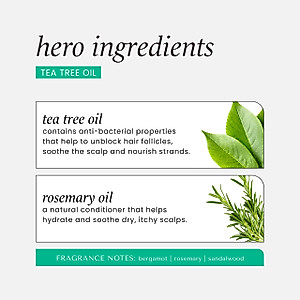 HASK Tea Tree & Rosemary Oil Scalp Care Conditioner - 12 fl oz