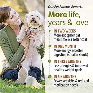 JustFoodForDogs Pantry Fresh Wet Dog Food Variety Pack, Complete Meal or Dog Food Topper, Beef, Chicken, & Turkey Recipes - 12.5 oz (Pack of 6)