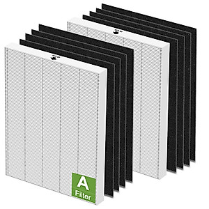 115115 Replacement Filter A Size 21 Compatible with Winix PlasmaWave 5300-2, C535, P300, 6300-2, 5300, 9000 Air Purifier, 2 True HEPA Filter 8 Carbon Pre-Filters