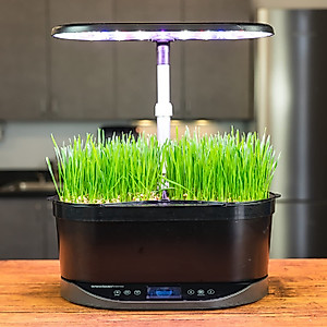 AeroGarden MicroGreens Kit for Bounty Gardens - Includes Seeds, Tray, and AeroFelt