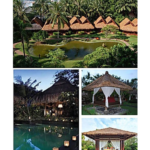 DIOB Palm Thatch Boat Blinds Grass Fireproof Straw Thatched Tiki Hut Grass Roof Umbrella Cover Mini Bar Roof and Patio Sunshade (Size : 0.5x0.5m)