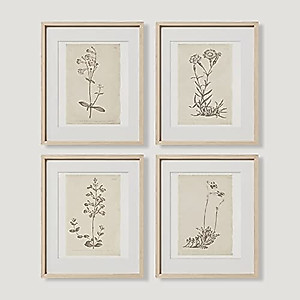 Vintage Botanical Plant Wall Art Prints - Neutral Minimalist Flower Posters Picture for Bedroom, Bathroom, Kitchen, Home Office,Preppy Rustic Farmhouse Room Decor Aesthetic Boho Sketch UNFRAMED 8x10