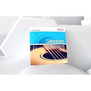 D'Addario EJ16 Acoustic Phosphor Bronze Light 12-53 6-Pack Bundle