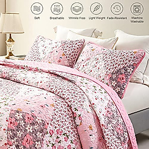 Whale Flotilla 3-Piece Printed Queen Size Quilt Bedding Set with 2 Pillow Shams Lightweight Reversible Bedspreads Coverlet Set for All Season, Pink