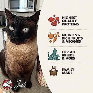 Fromm Four-Star Nutritionals Surf & Turf Cat Food - Premium Dry Cat Food - Salmon Recipe - 4 lb