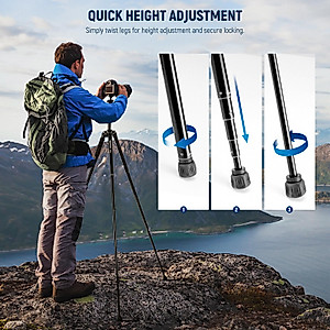 NEEWER 61.4" Video Travel Tripod with +/-10° Leveling Base Fluid Head (⌀37mm), Compact Metal Camera Tripod Stand with Quick Release Reversible Legs & Detachable Center Column, Arca Plate, TP61
