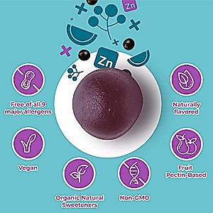 HYLAND'S Naturals Adult & Kids Organic Elderberry Plus Gummies, Organic Black Elderberry with ZINC & Vitamin C, Immune Support for Adults &Children, 60 Vegan Adult Gummies + 48 Vegan Kids Gummies