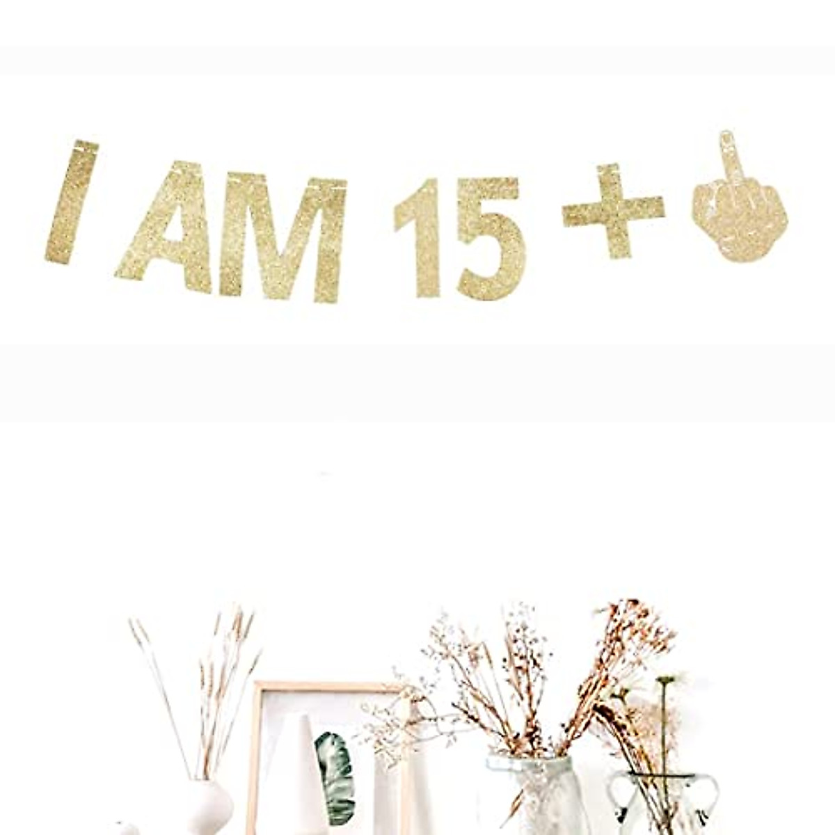 Morndew Gold Gliter I AM 15+1 Paper Banner for 16th Birthday Party Sign Backdrops Funny/Gag 16 Bday Party Wedding Anniversary Celebration Party Retirement Party Decorations