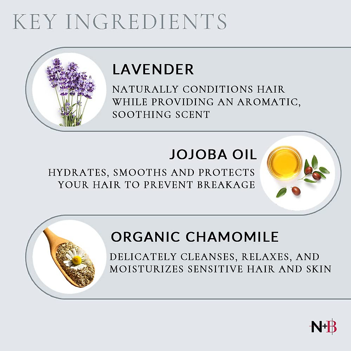 N+B Tearless Collection | Gentle Tear Free Formula | Safe for ALL Ages | Certified Organic Ingredients | USA Made (Conditioner)