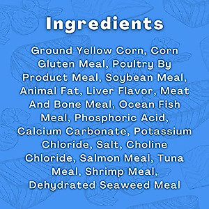 Friskies Dry Cat Food Seafood Sensations Bundle | Includes 2 Bags of Friskies Dry Cat Food Salmon, Tuna, and Shrimp Flavors (3.15 LB) | Plus Paw Food Scoop!