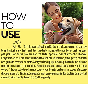 JATISSE Enzymatic Pet Toothpaste | Dog Tooth Brushing Kit | Cat & Dog Dental Care | Controls Plaque, Tartar, & Bad Breath 3.38 fl.oz