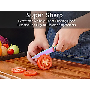 WELLSTAR Utility Knife, 4 Inch Serrated Paring Knife with Super Sharp Rainbow High Carbon Stainless Steel Blade for Fruit Vegetable Cutting Peeling Slicing